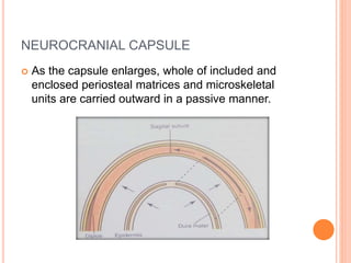 Functional Matrix Theory | PPT