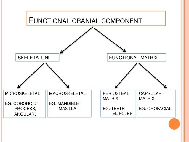 Functional Matrix Theory