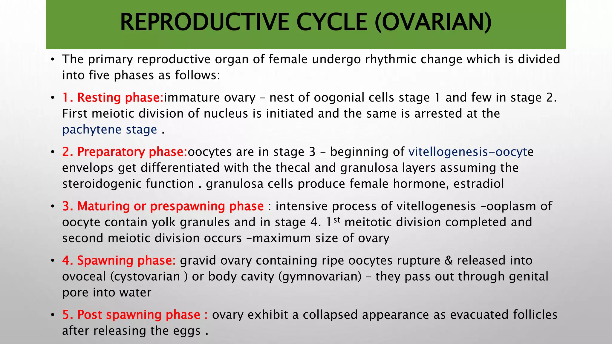 Functional morphology of Gonads.pptx