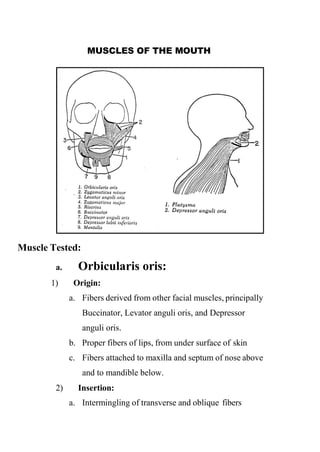 Functional Muscle Testing of Facial Muscles.pdf