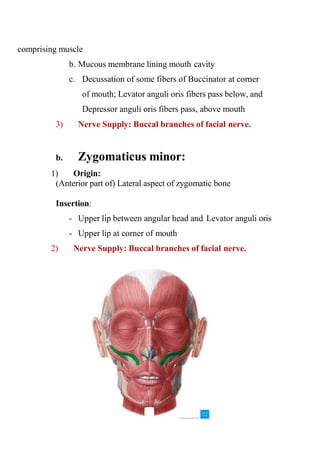 Functional Muscle Testing of Facial Muscles.pdf
