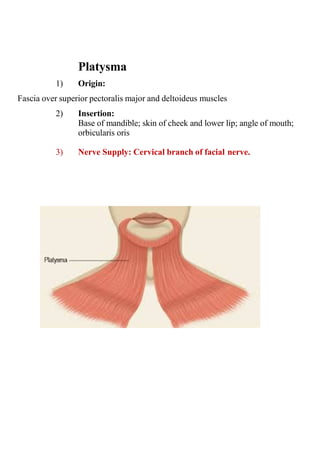 Functional Muscle Testing of Facial Muscles.pdf