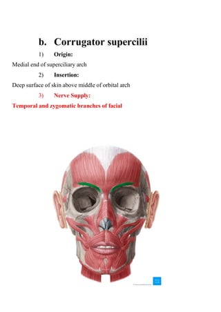 Functional Muscle Testing of Facial Muscles.pdf