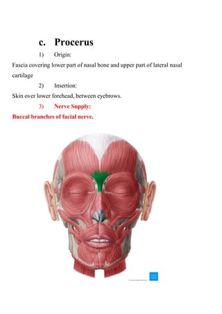 Functional Muscle Testing of Facial Muscles.pdf
