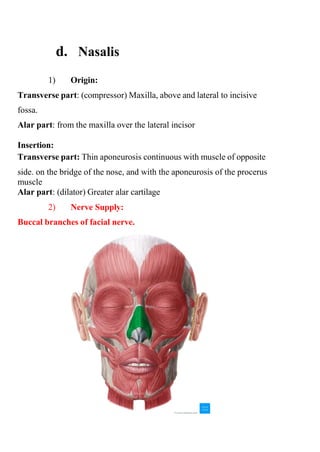 Functional Muscle Testing of Facial Muscles.pdf