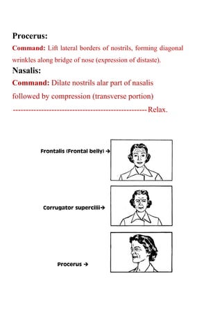 Functional Muscle Testing of Facial Muscles.pdf