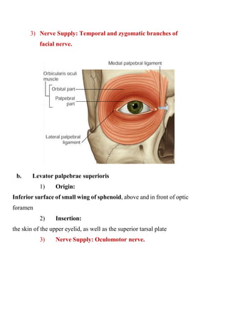 Functional Muscle Testing of Facial Muscles.pdf