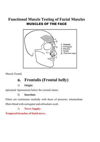 Functional Muscle Testing of Facial Muscles.pdf