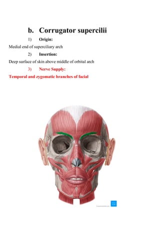 Functional Muscle Testing of Facial Muscles.pdf
