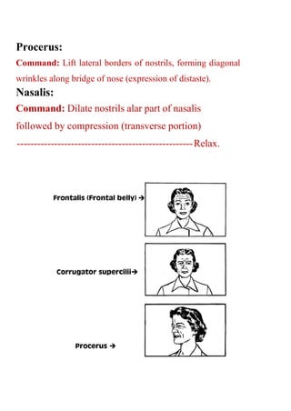 Functional Muscle Testing of Facial Muscles.pdf