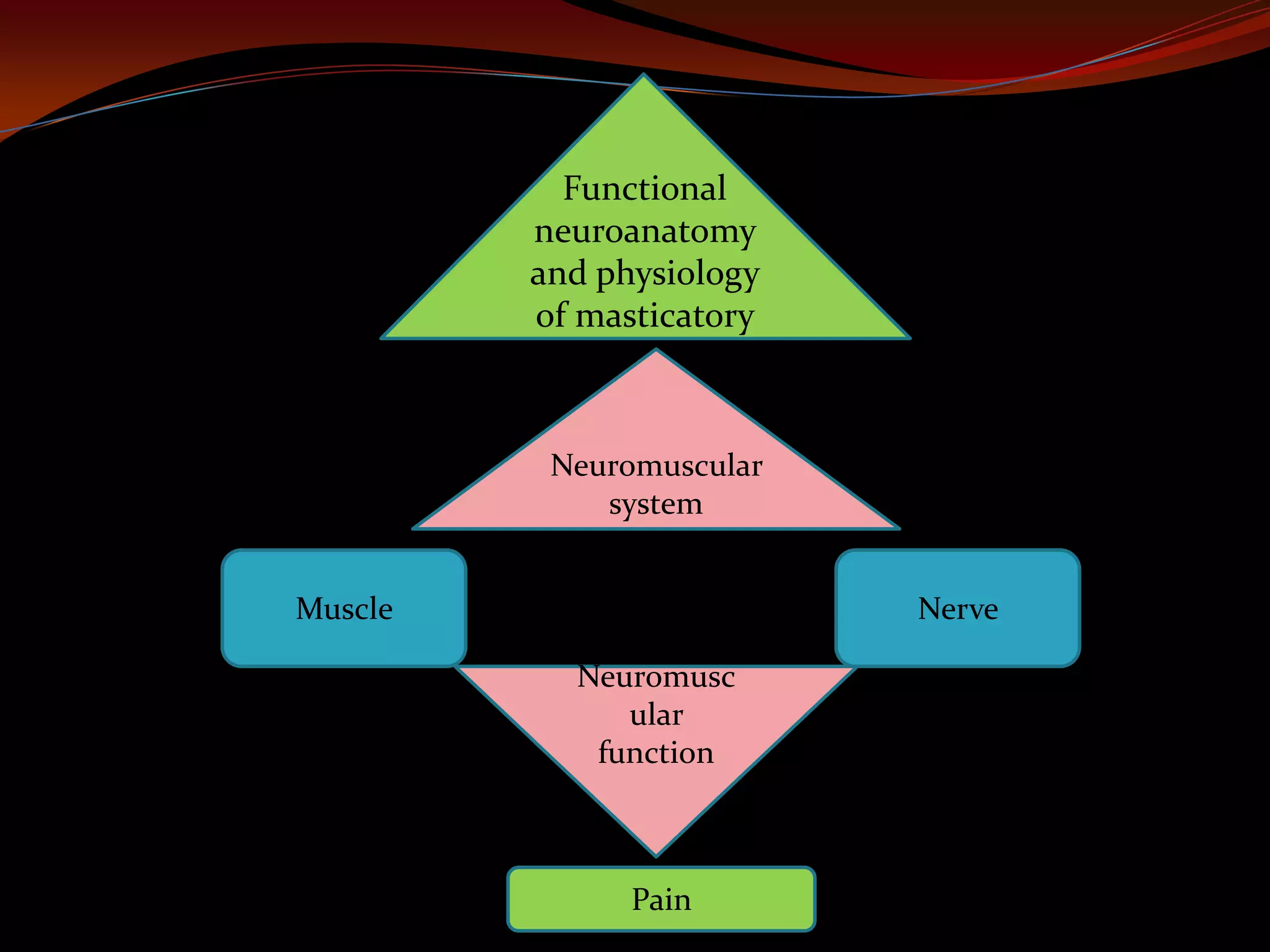 Functional neuroanatomy and physiology of masticatory system | PPTX