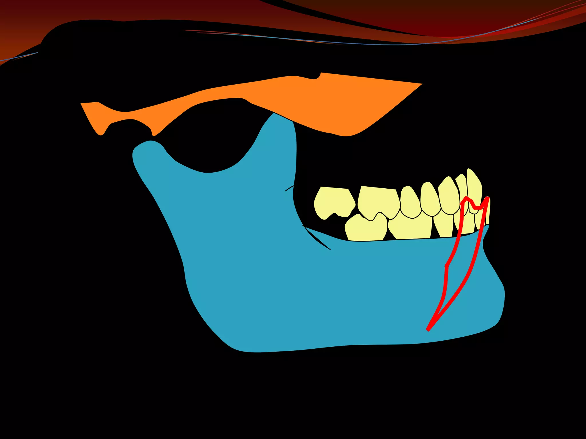 Functional neuroanatomy and physiology of masticatory system | PPTX