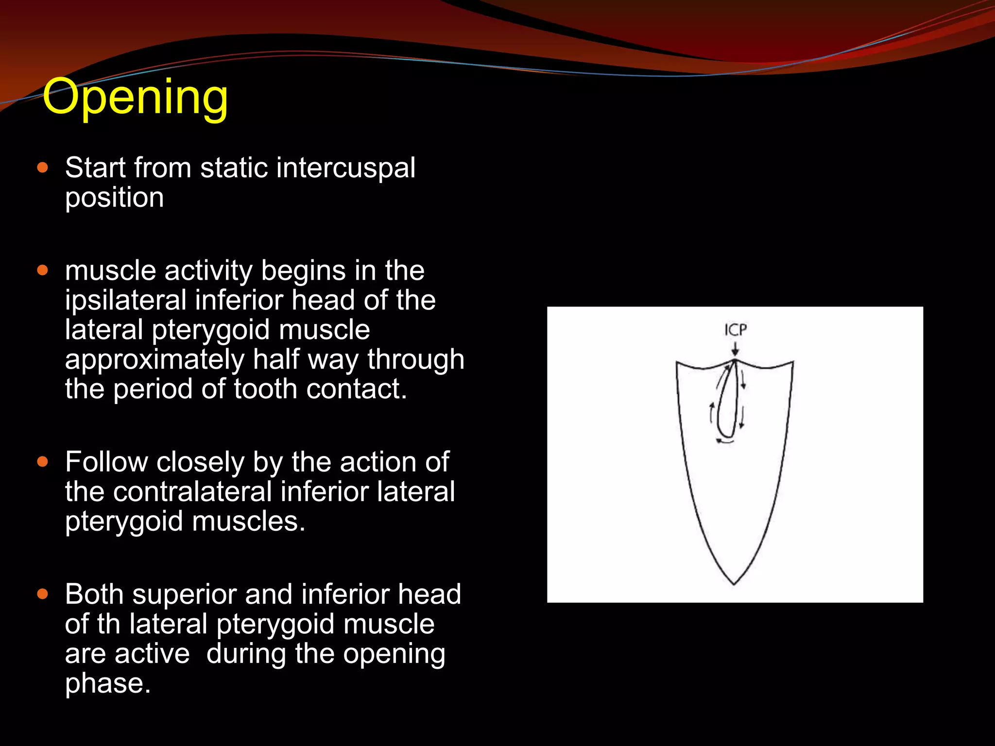 Functional neuroanatomy and physiology of masticatory system | PPTX