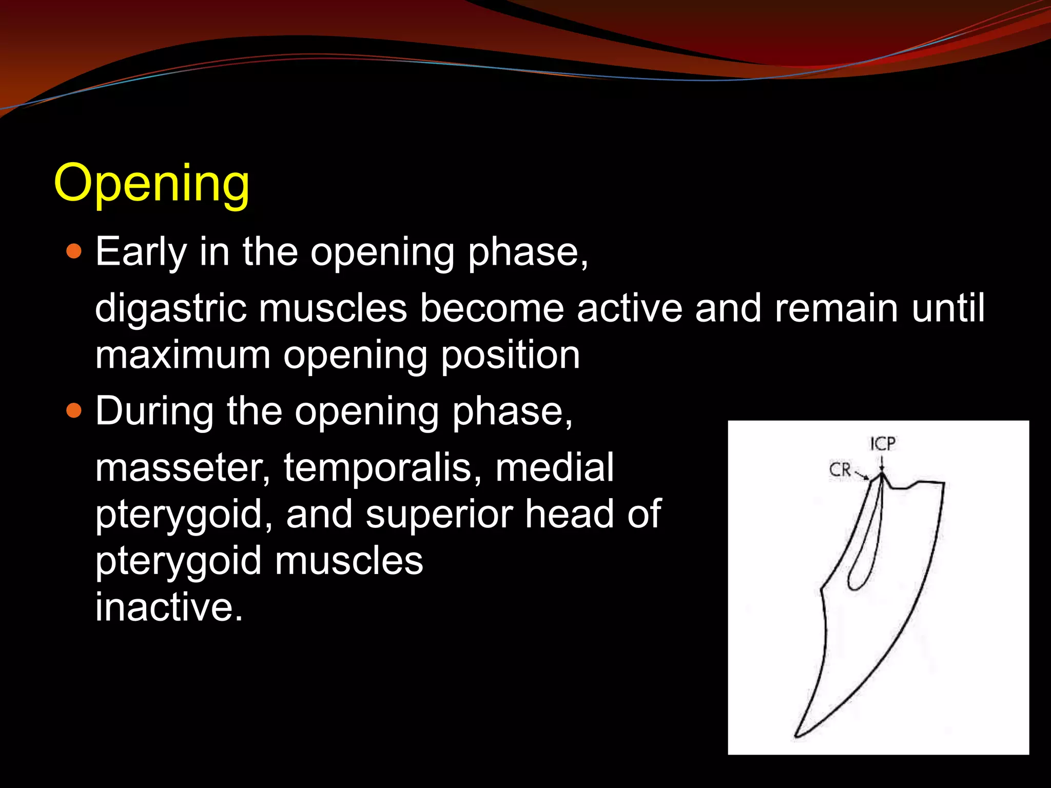 Functional neuroanatomy and physiology of masticatory system | PPTX