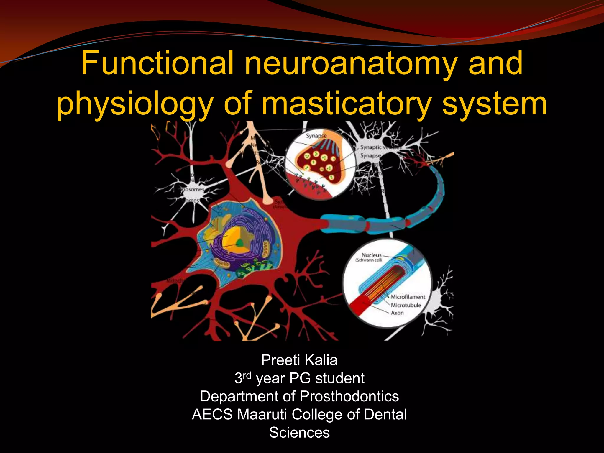 Functional neuroanatomy and physiology of masticatory system | PPT