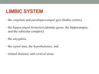 Functional neuroanatomy of brain | PPTX