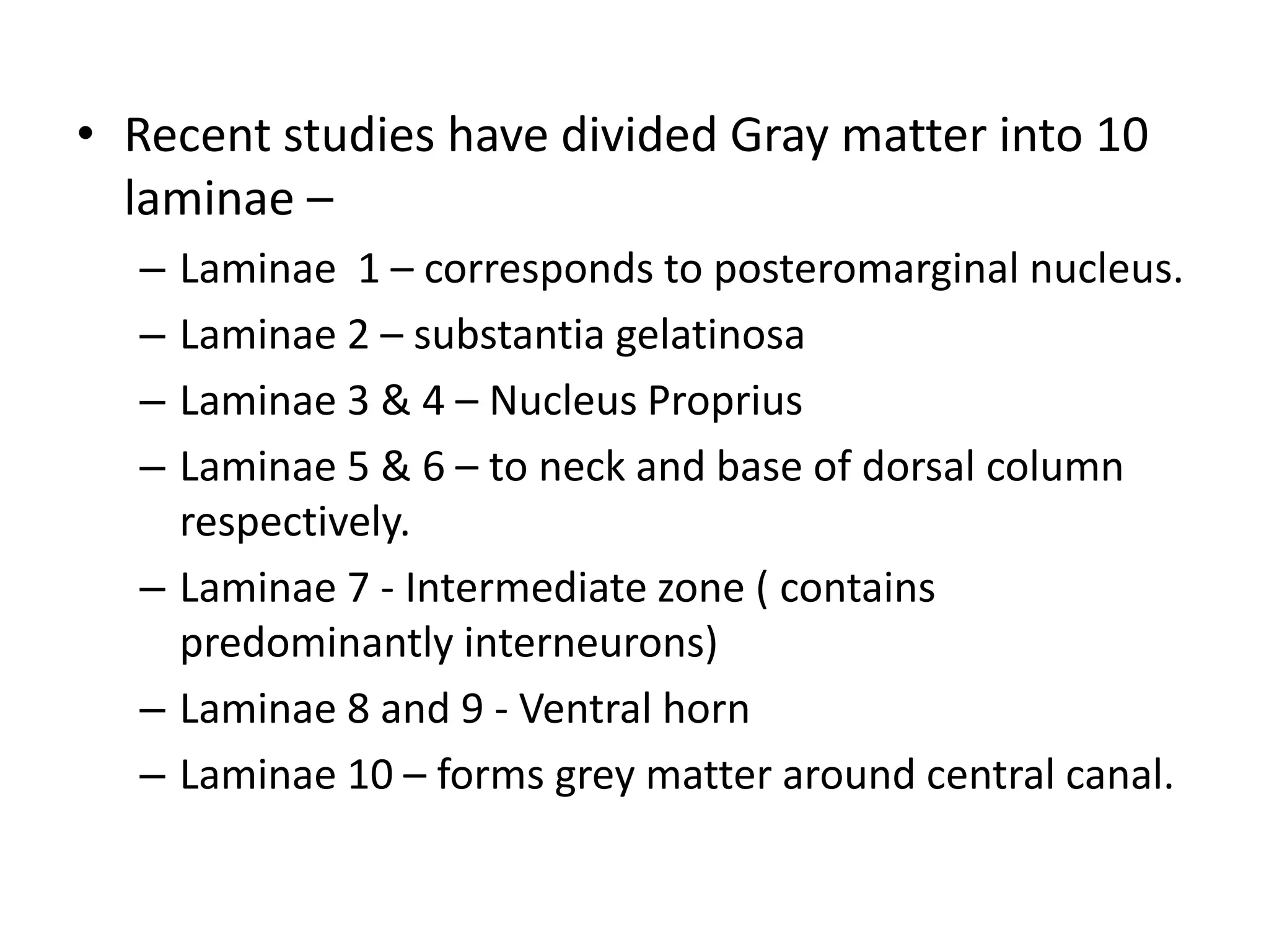 Functional neuroanatomy of spinal cord | PPTX