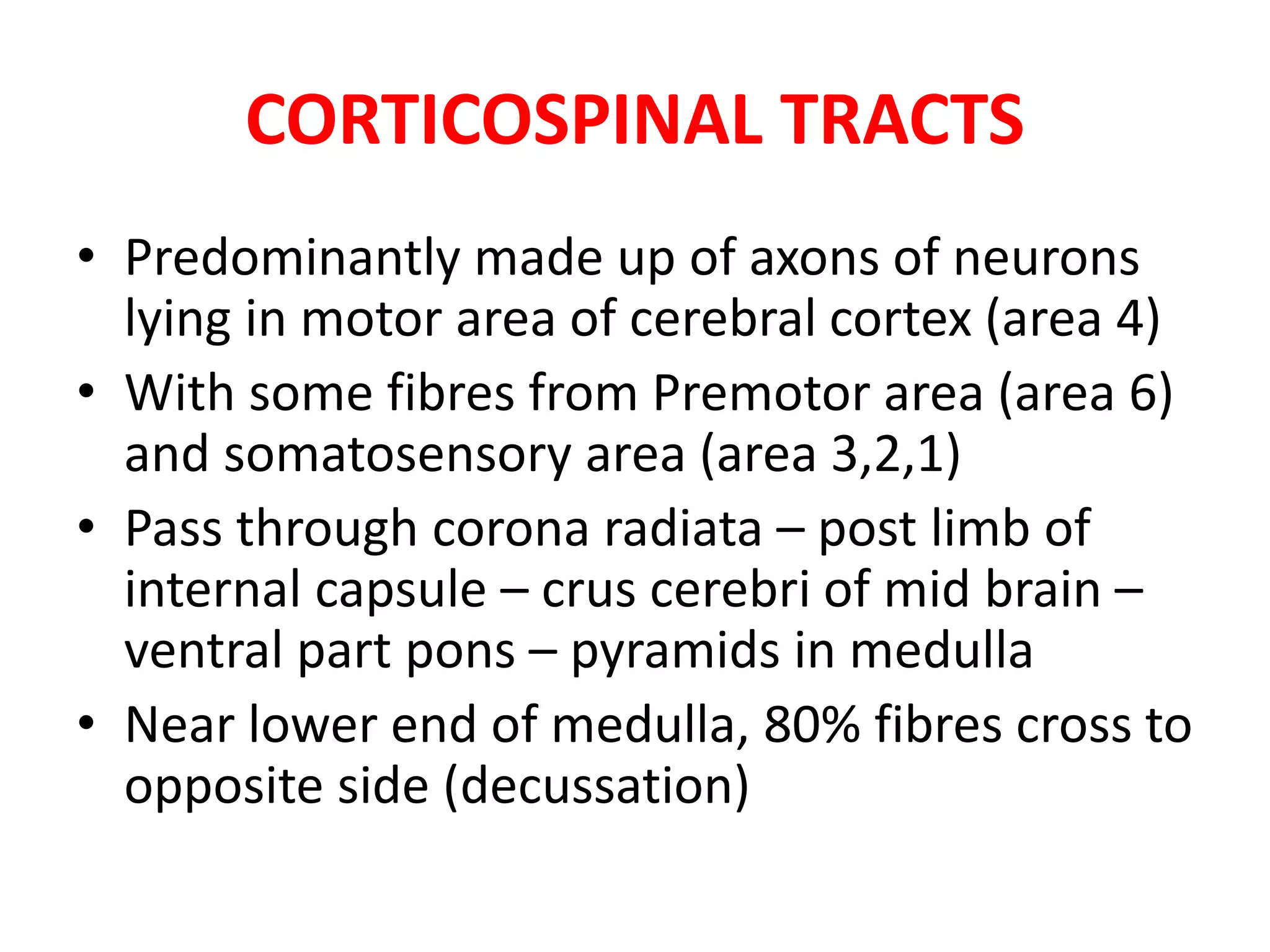 Functional neuroanatomy of spinal cord | PPTX