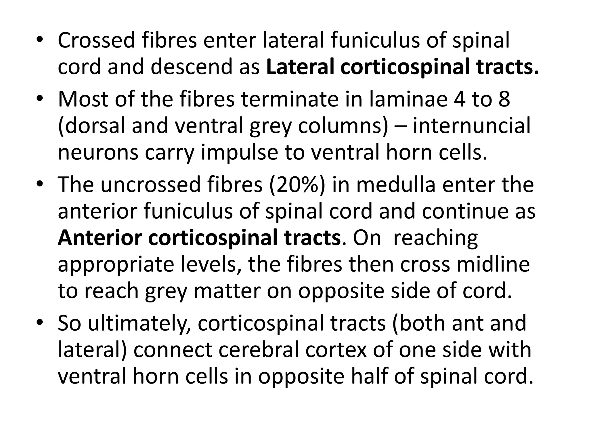 Functional neuroanatomy of spinal cord | PPTX