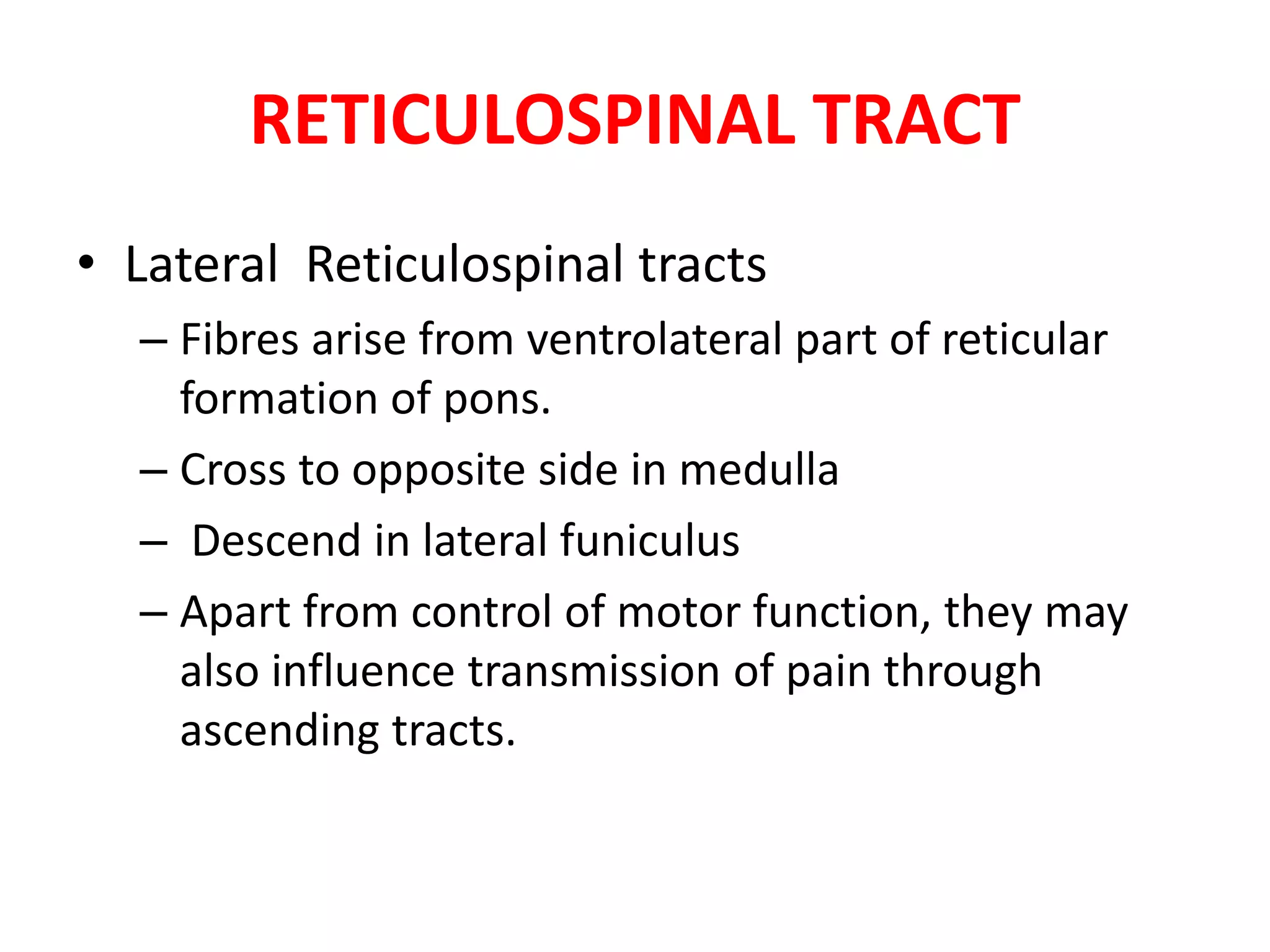 Functional neuroanatomy of spinal cord | PPTX