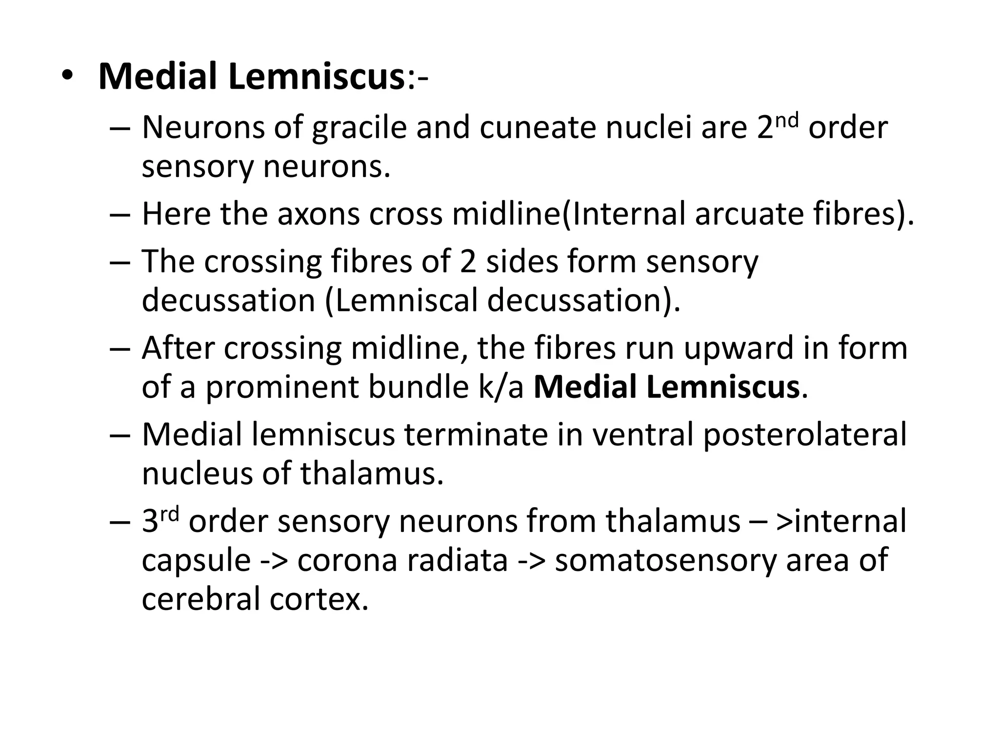 Functional neuroanatomy of spinal cord | PPTX