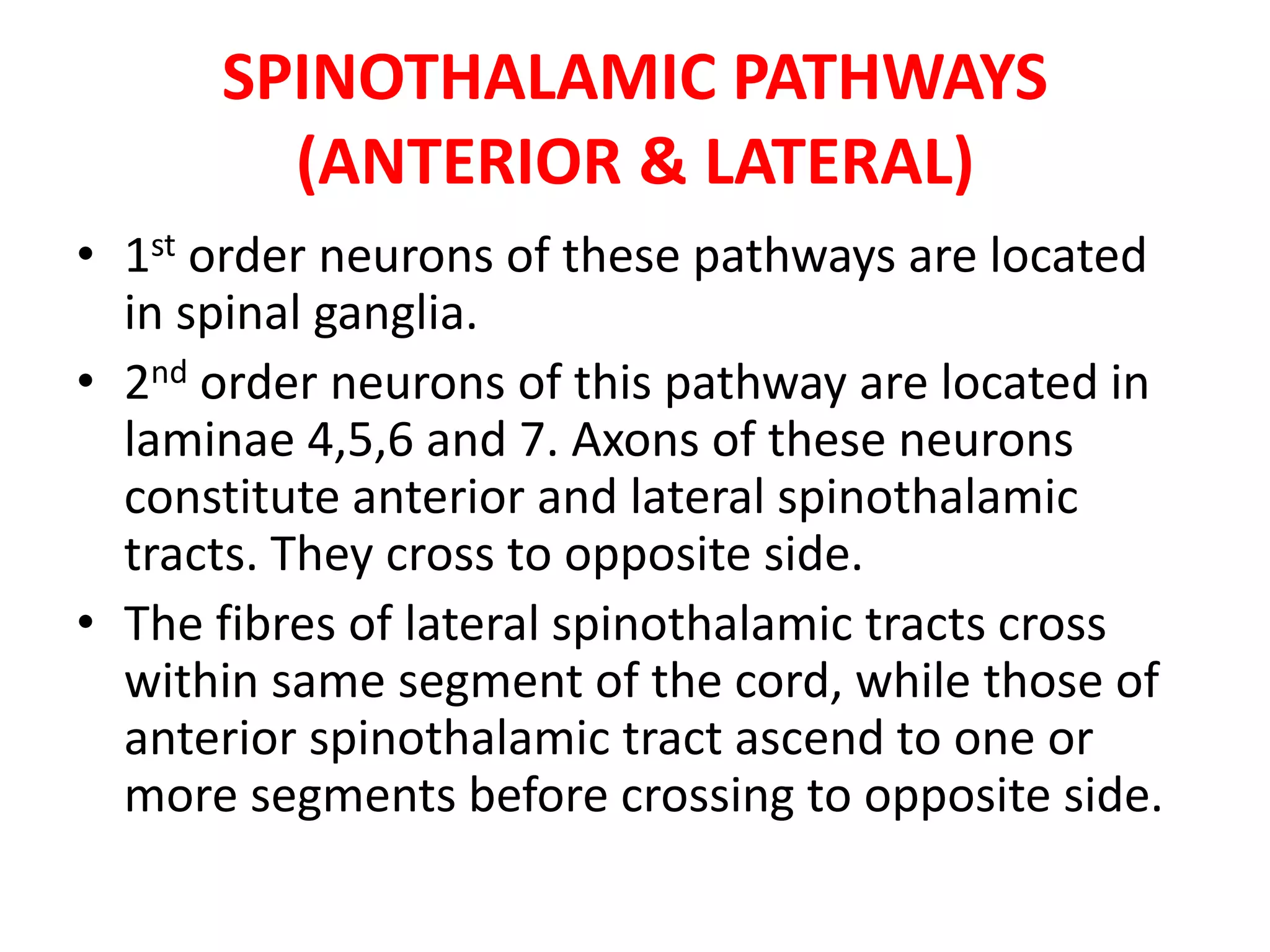 Functional neuroanatomy of spinal cord | PPTX