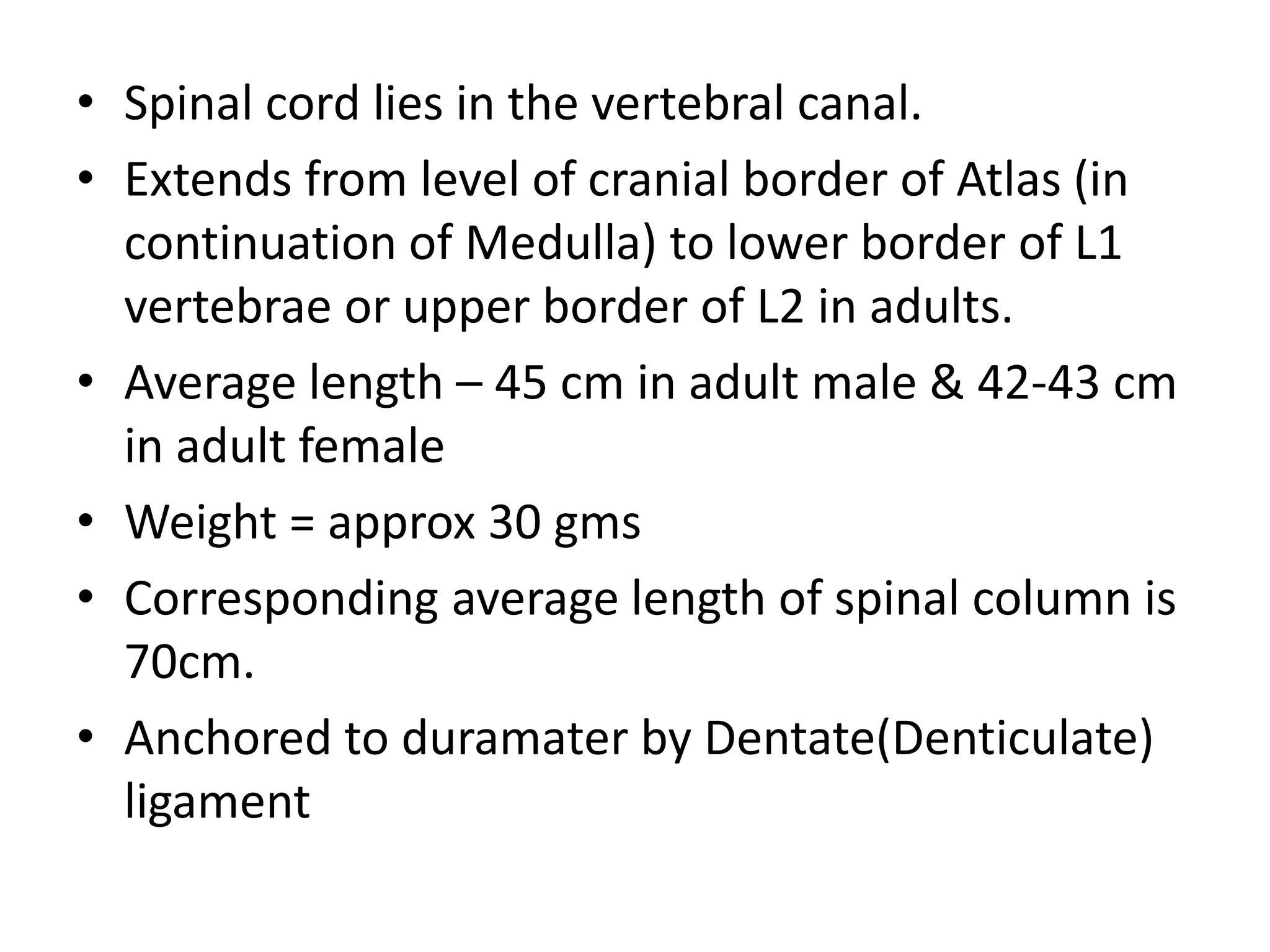 Functional neuroanatomy of spinal cord | PPTX