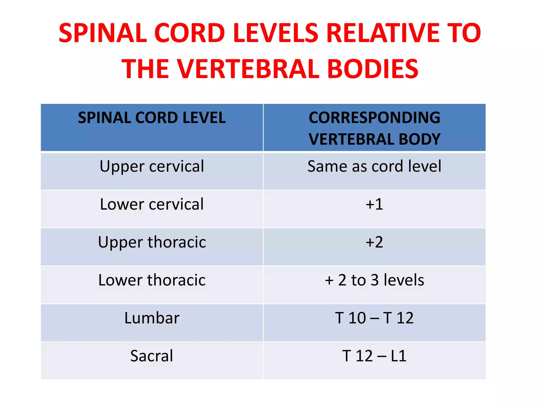Functional neuroanatomy of spinal cord | PPTX