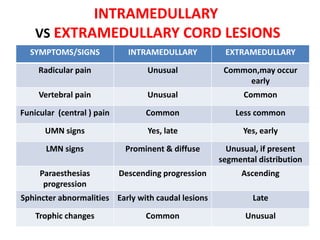 Functional neuroanatomy of spinal cord | PPTX