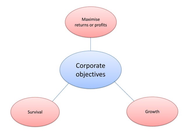 Functional objectives and strategies | PPTX