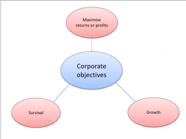 Functional objectives and strategies | PPTX