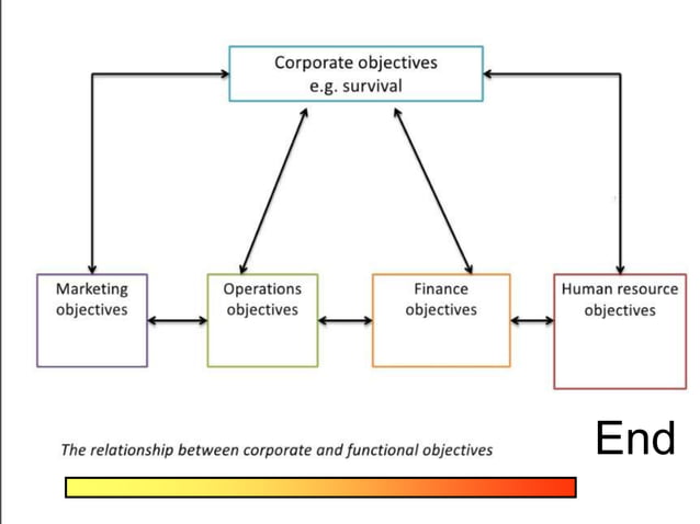 Functional objectives and strategies | PPTX