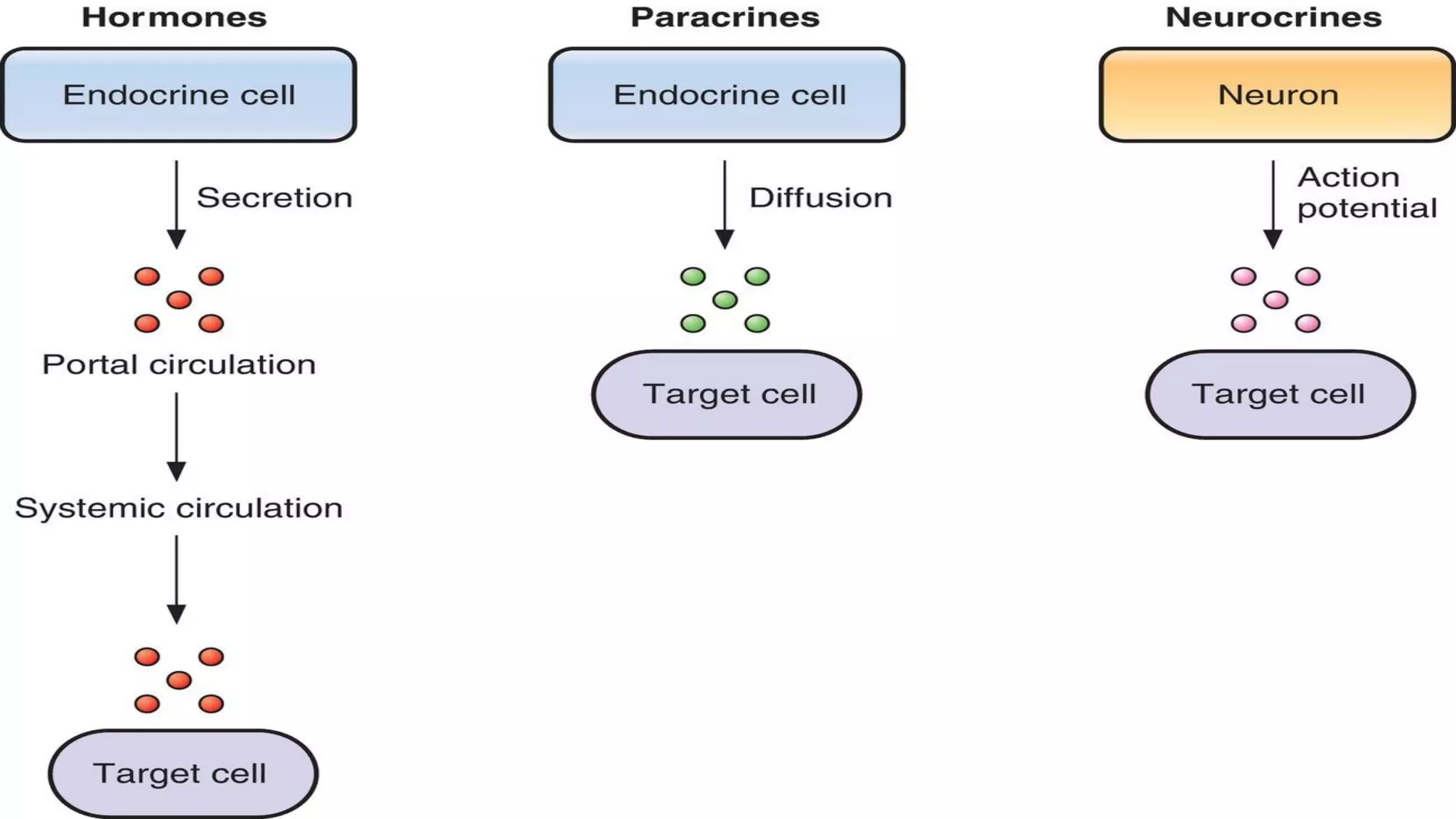 Functional organization of git | PDF