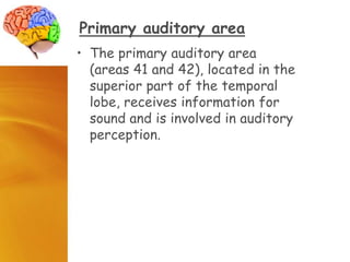 Functional organization of the cerebral cortex i sensory & motor cortex ...