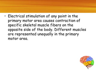 Functional organization of the cerebral cortex i sensory & motor cortex ...