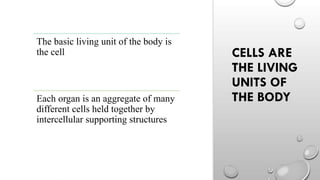 Functional Organization of the Human Body and Control.pptx