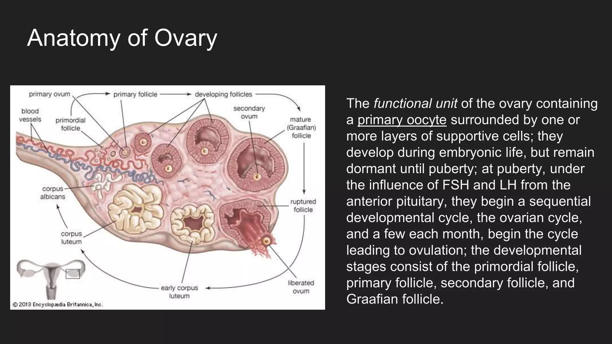 Functional ovarian cyst and its differential diagnosis | PPTX
