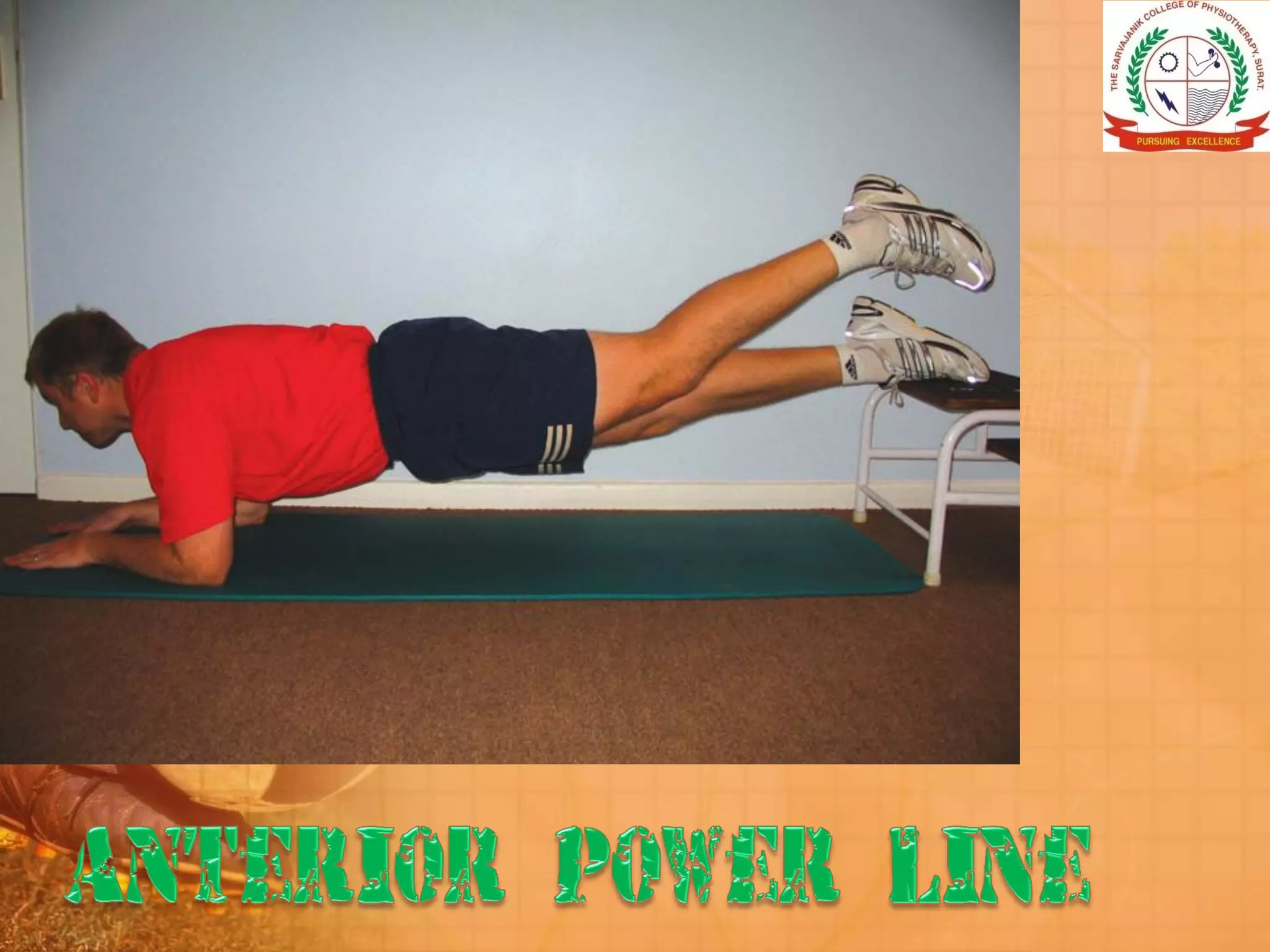 Functional performance testing in sports | PDF