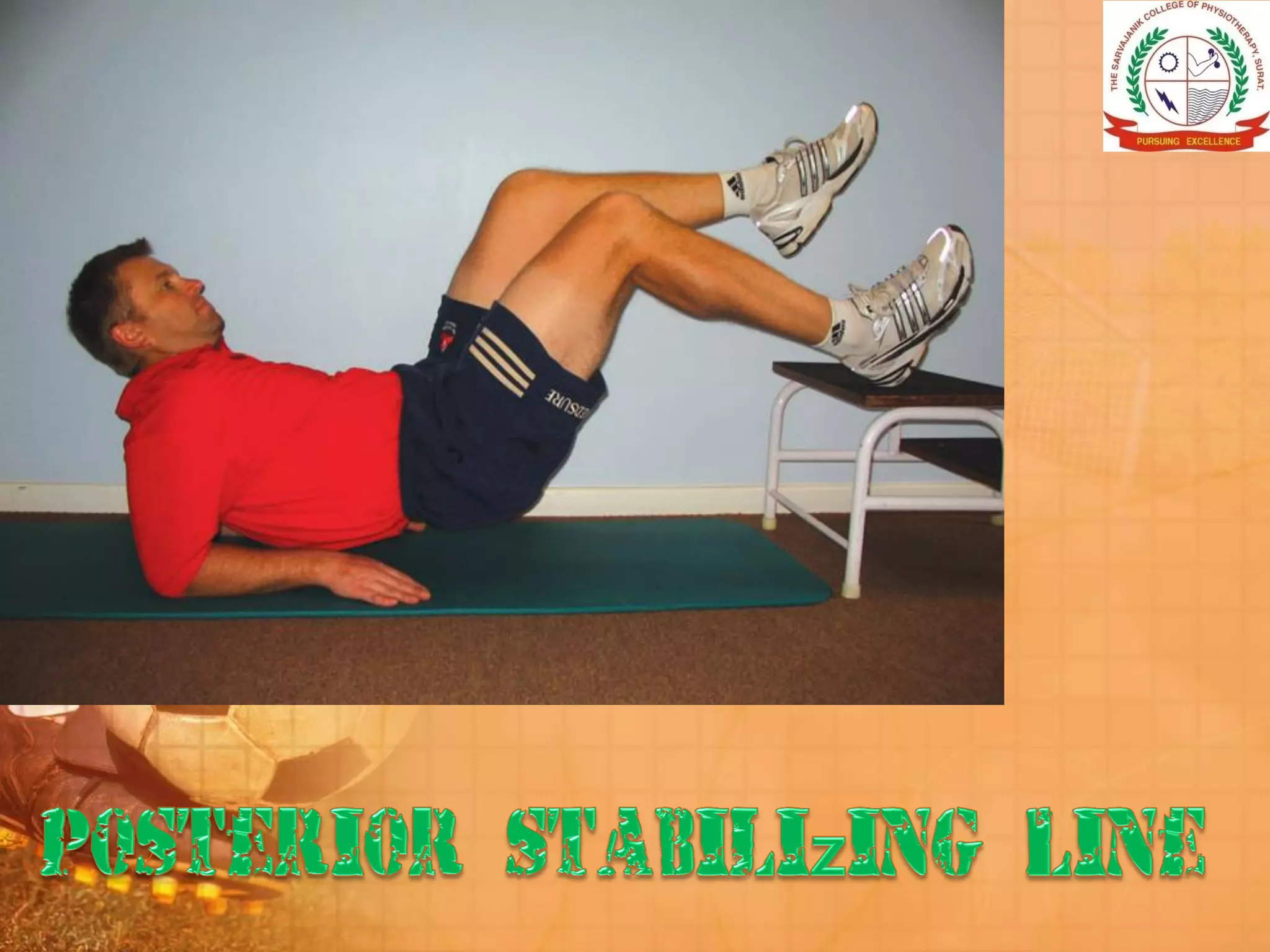 Functional performance testing in sports | PDF