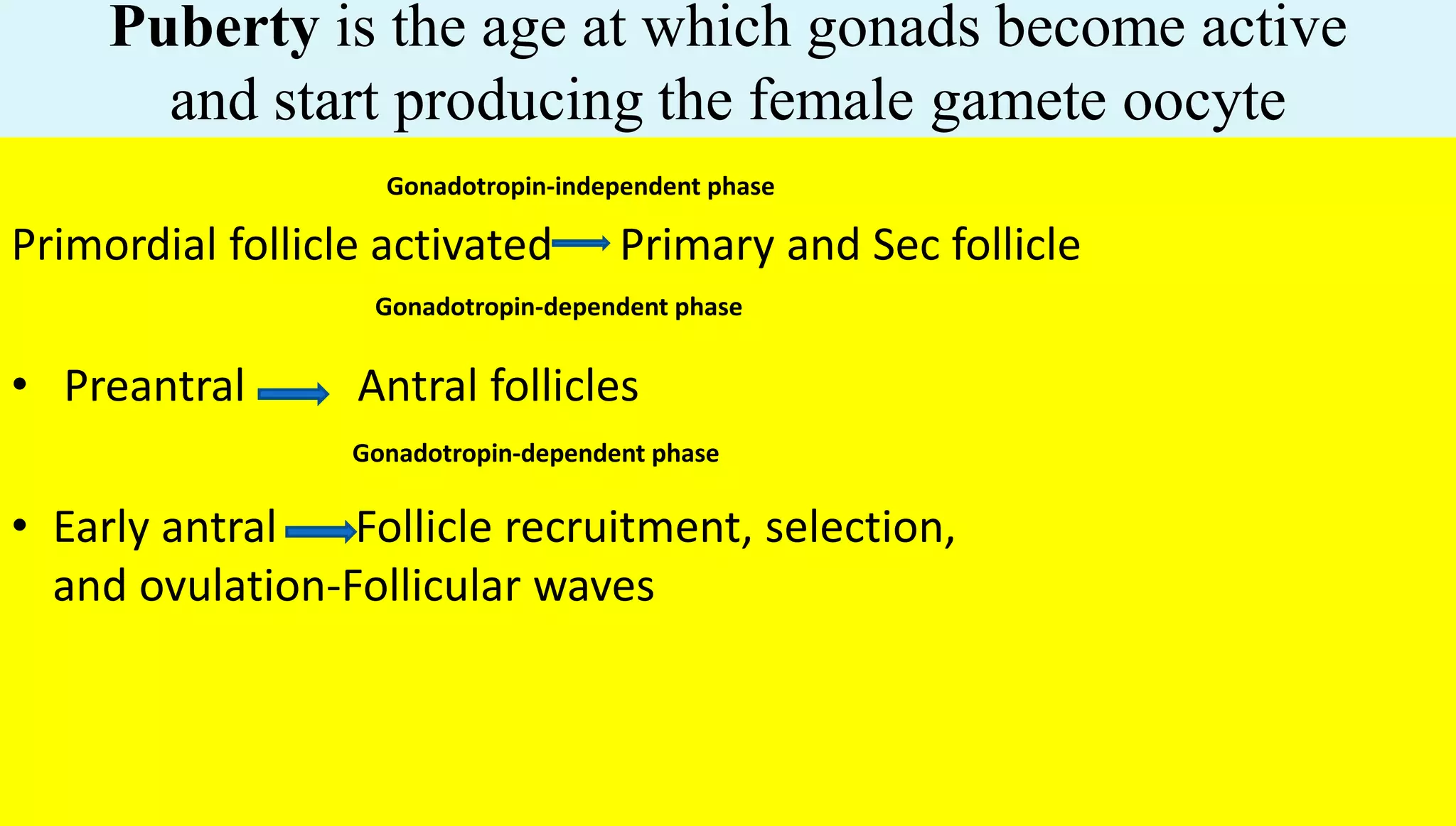 Functional physiology of the genital organs of the domestic | PPT