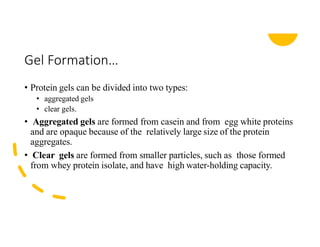 Functional preperties of protein.pdf