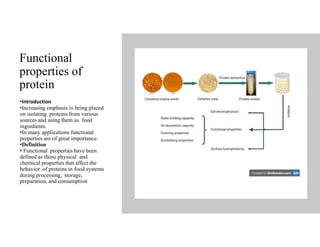 Functional preperties of protein.pdf