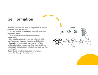 Functional preperties of protein.pdf