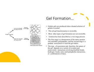 Functional preperties of protein.pdf