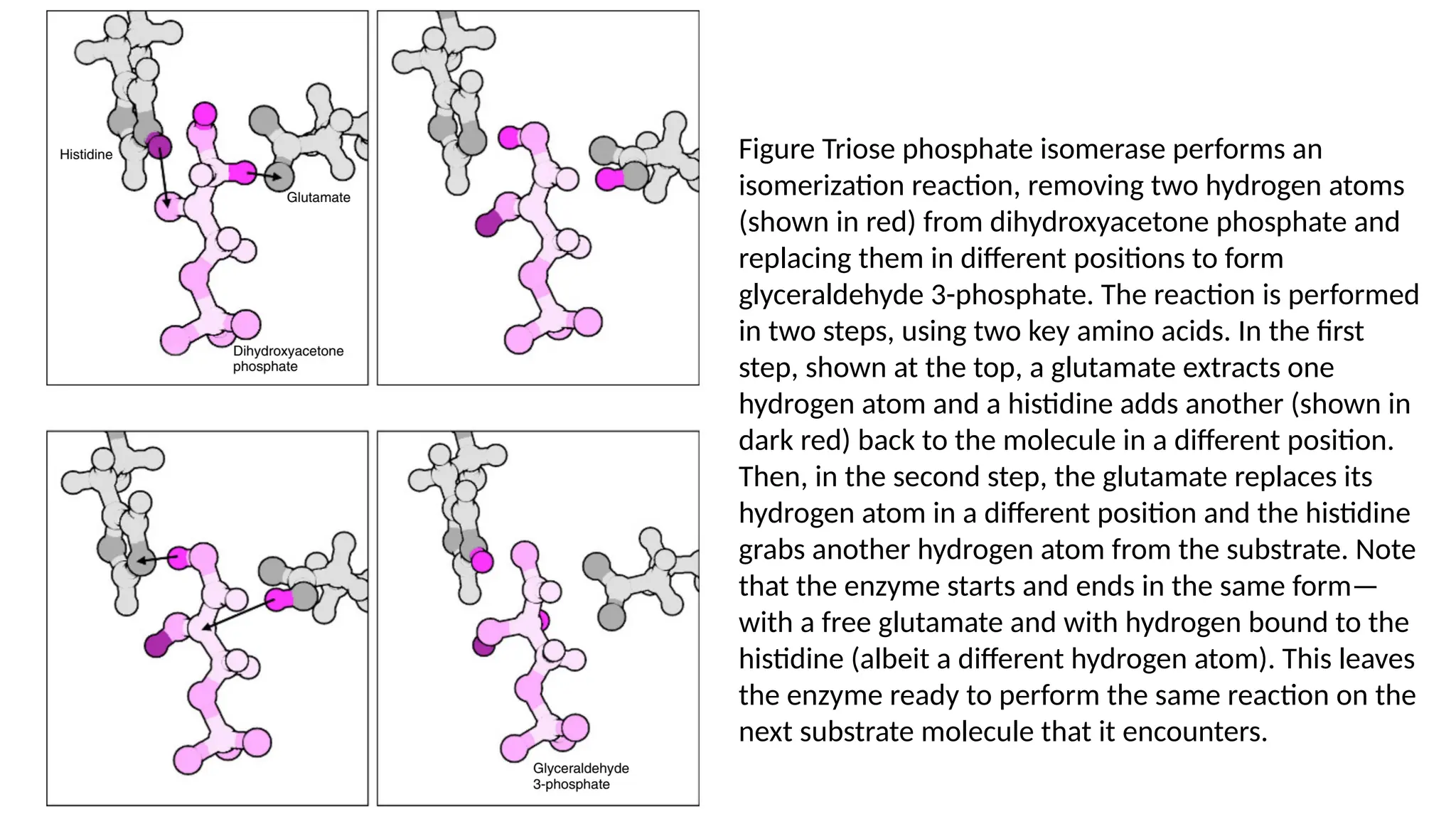 Functional Principles of Bionanotechnology-3.pptx