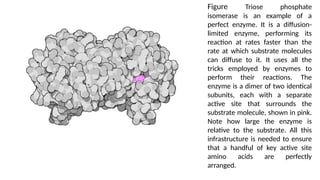 Functional Principles of Bionanotechnology-3.pptx
