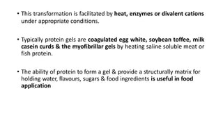 functionalpropertiesofptn-230221175257-d9199300.pptx