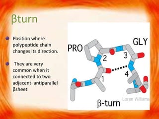 Functional protein by kk sahu | PPT