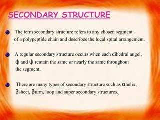 Functional protein by kk sahu | PPT