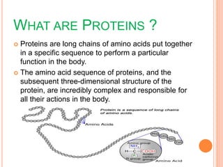 Functional proteins 2 (1) | PPTX